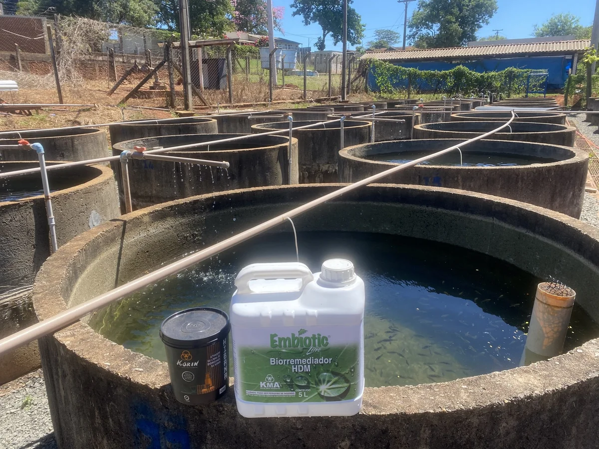 Tecnologia Embiotic na produção de peixes: uma solução sustentável e ...